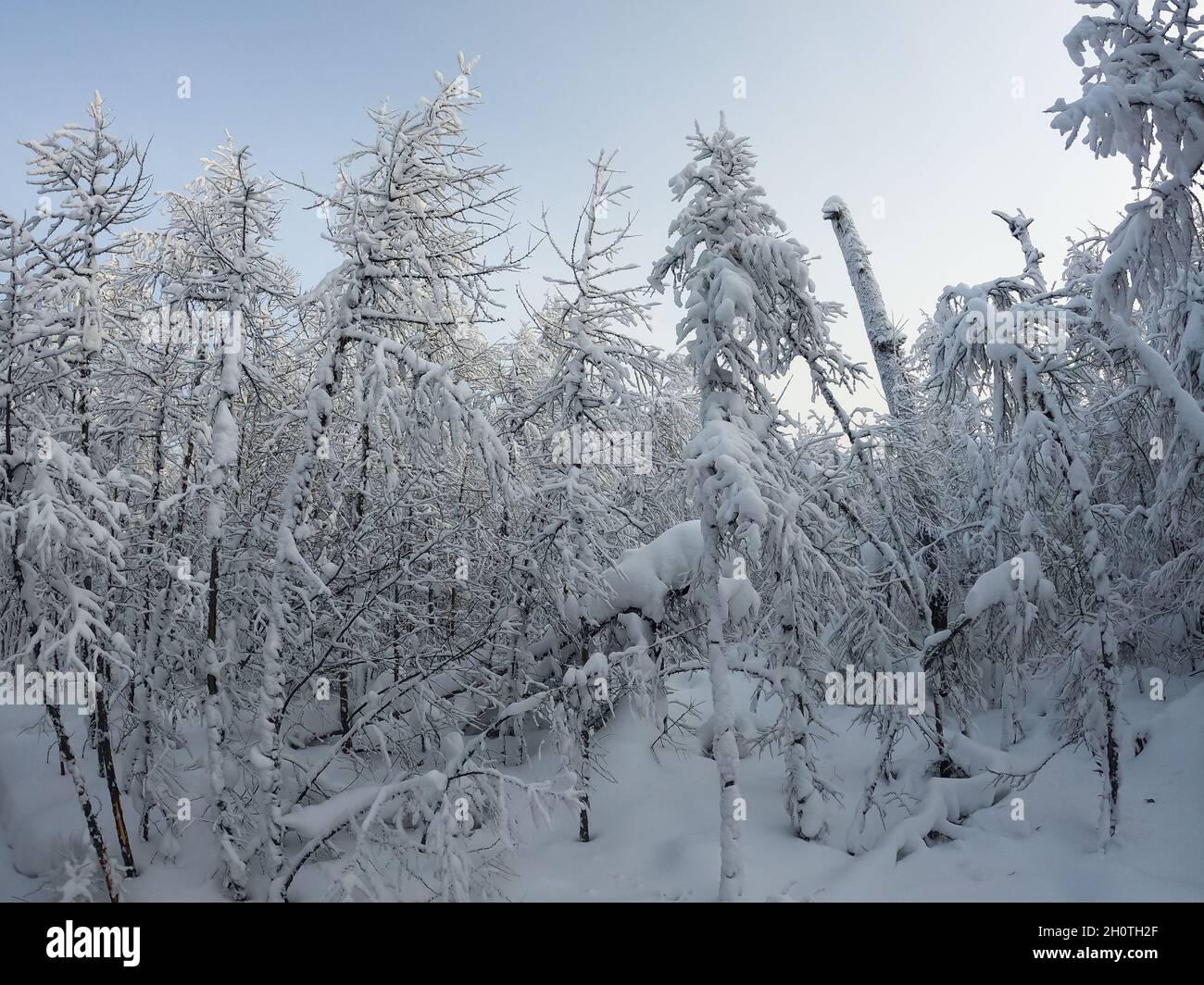 North pole landscape december hi-res stock photography and images - Alamy