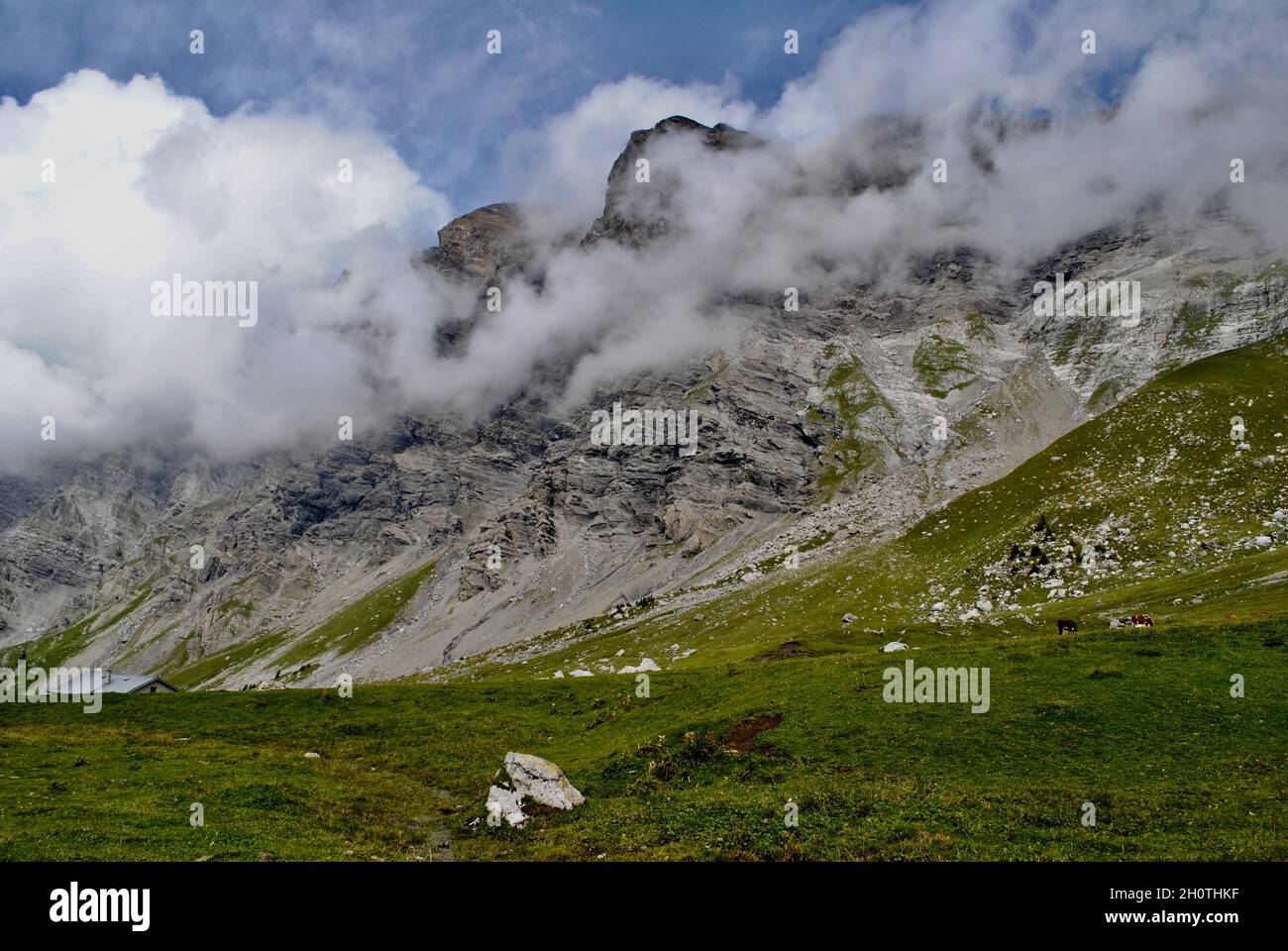 Villars sur ollon summer hi-res stock photography and images - Alamy