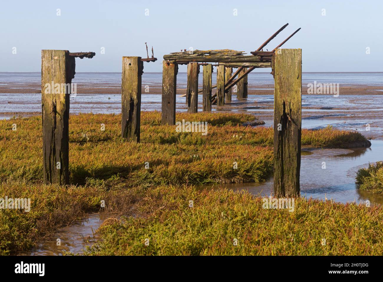 the wooden remains of an old pier at RSPB Snettisham Nature Reserve on ...