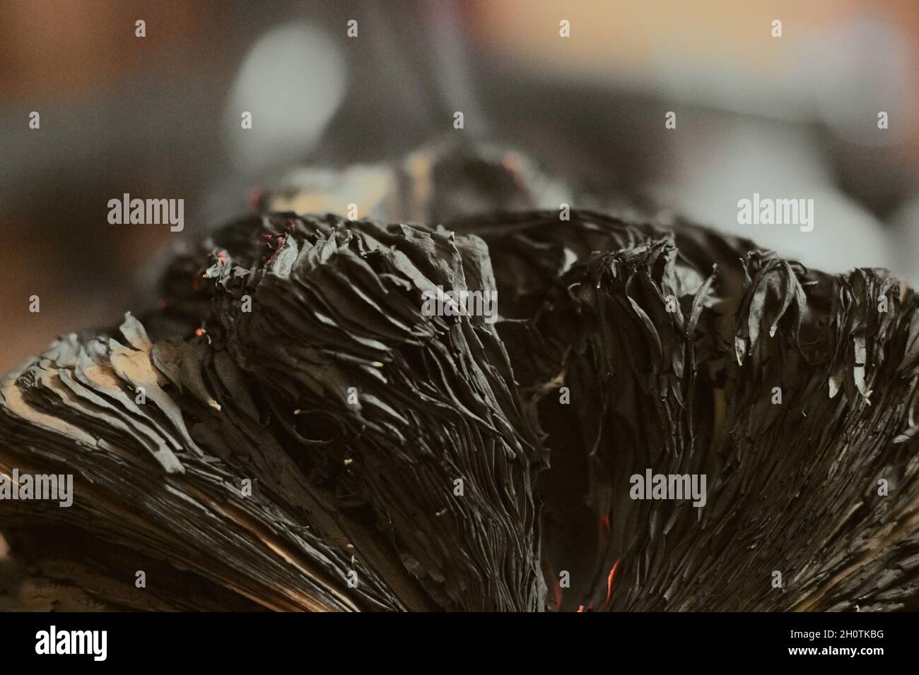 Closeup shot of a burnt open book pages Stock Photo - Alamy