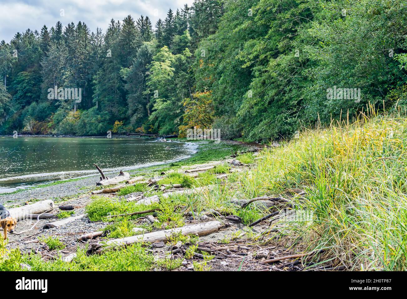 Pillar point hi-res stock photography and images - Alamy