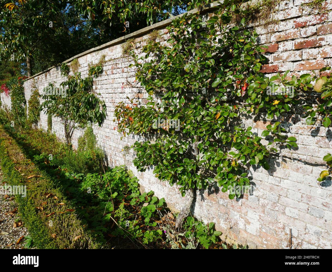 Downe House, Kent, England Stock Photo - Alamy