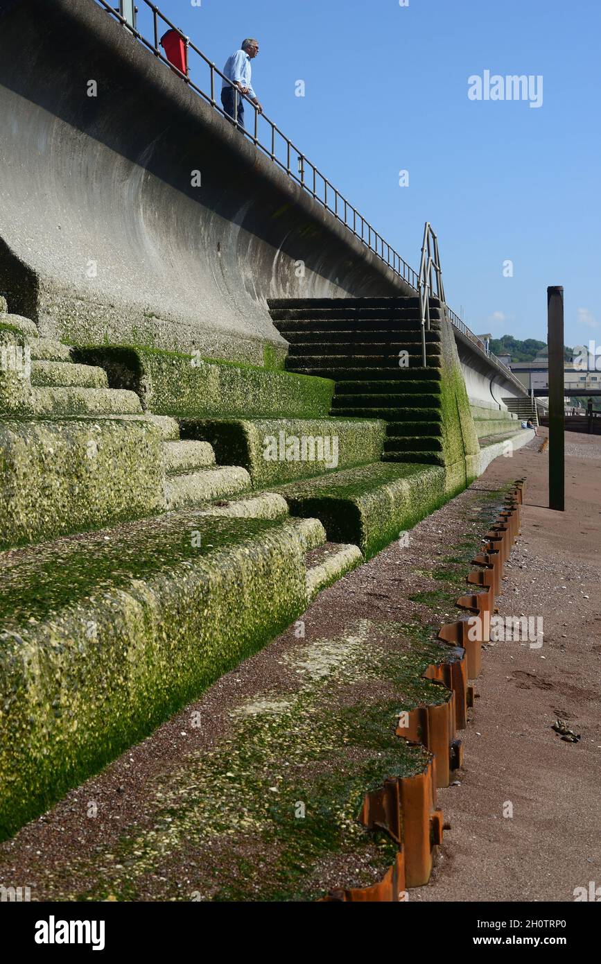 Green slime on the steps and steel sheet piles along the Teignmouth ...