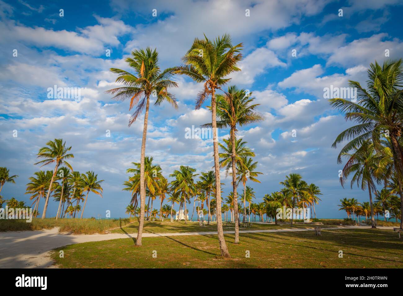 Cloudy sky over Crandon Park in Key Biscayne. Southern Florida, USA ...