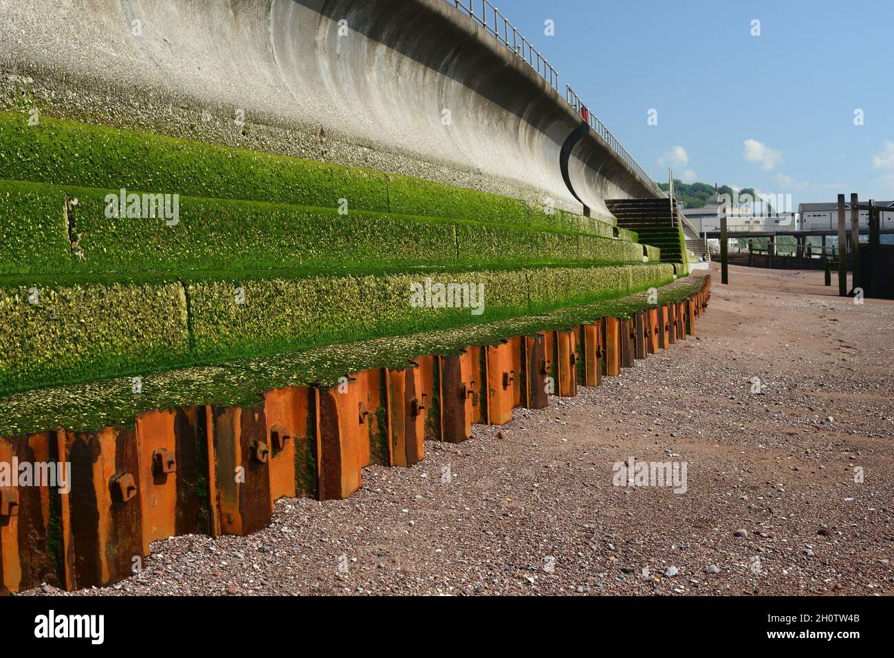 Green slime on the steps and steel sheet piles along the Teignmouth ...