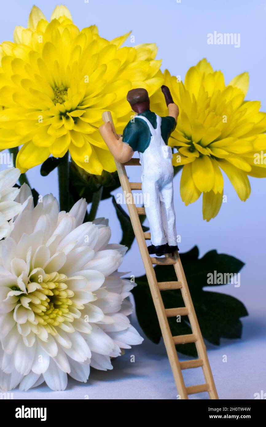 Miniature people working hi-res stock photography and images - Alamy