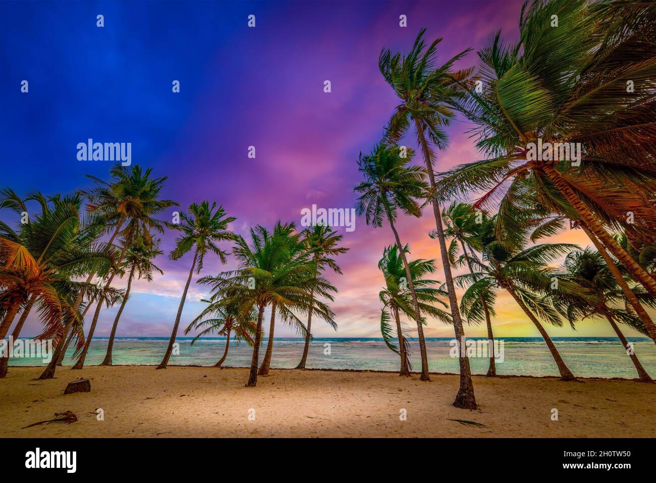 Bois Jolan beach under a pink sky at sunset. Guadeloupe, Caribbean sea ...