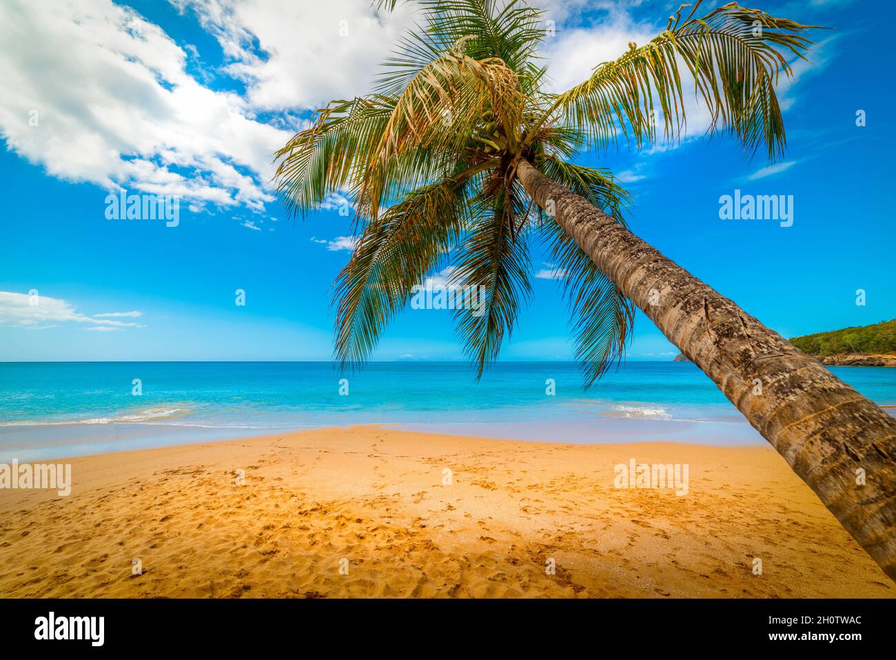 La Perle beach under a cloudy sky. Guadeloupe, Caribbean sea Stock ...