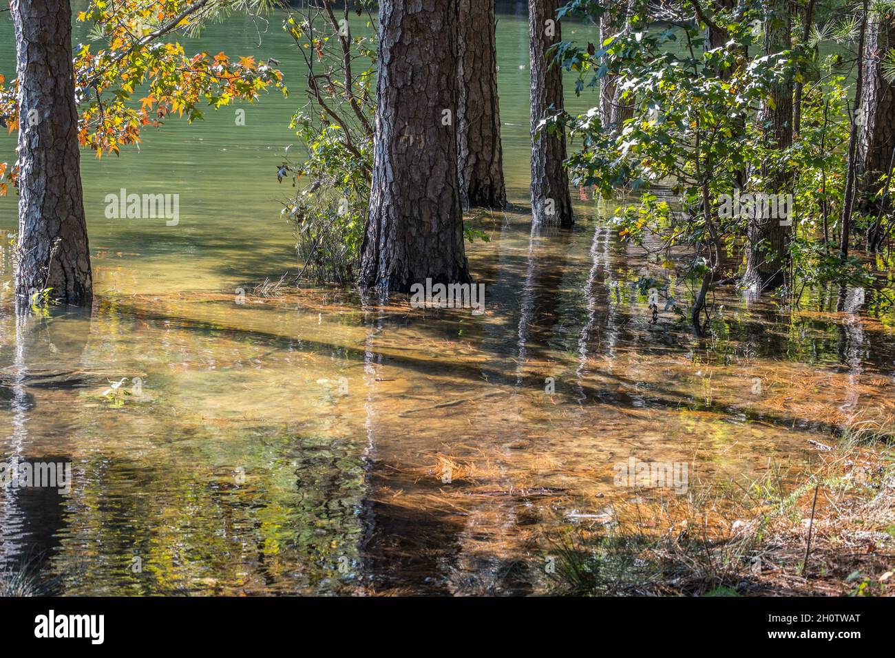 Flooding at the lake on the shore after a heavy rainfall covering the ...