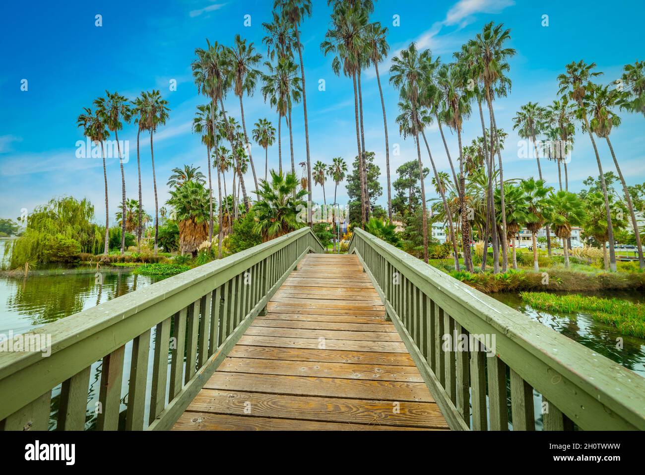 Small bridge in Echo park lake under a blue sky. Los Angeles ...