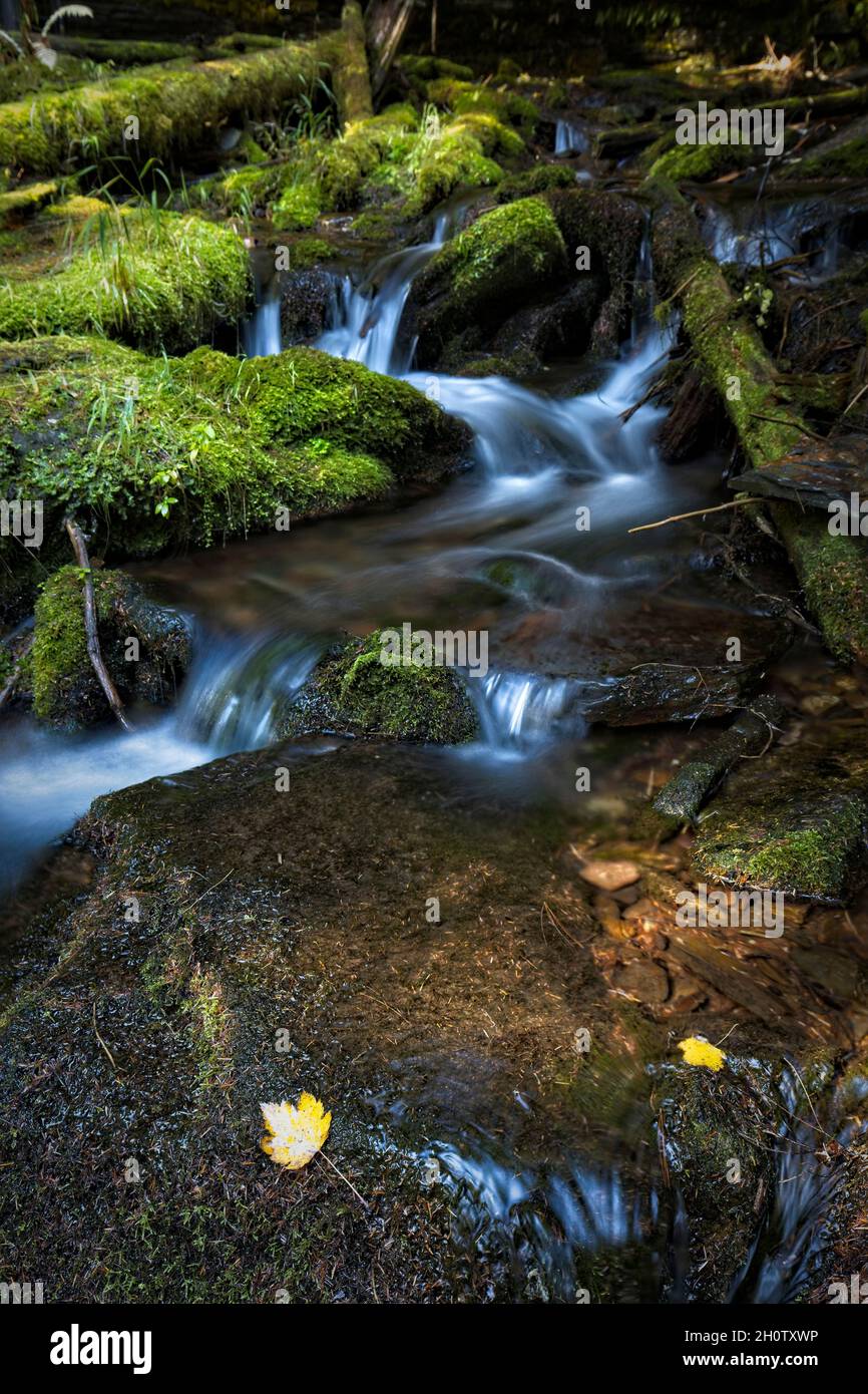 Serene waterfall cascades over mossy hi-res stock photography and ...