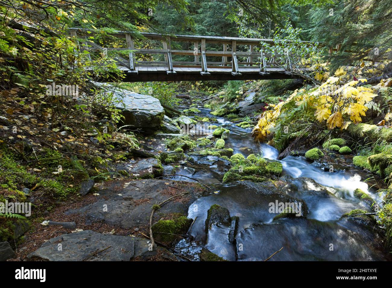 A wooden bridge spans over a small cascading mountain stream at Fern ...