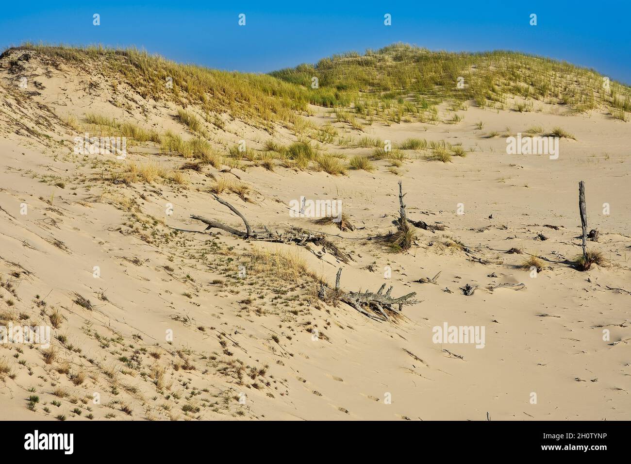 Moving trees hi-res stock photography and images - Alamy