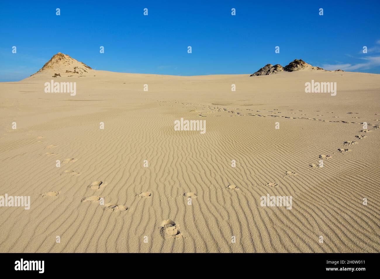 beautiful moving dunes, Leba in Poland Stock Photo - Alamy