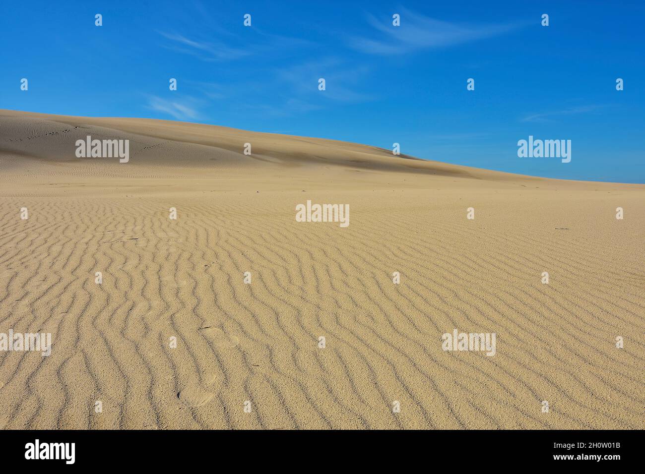 Moving desert hi-res stock photography and images - Alamy