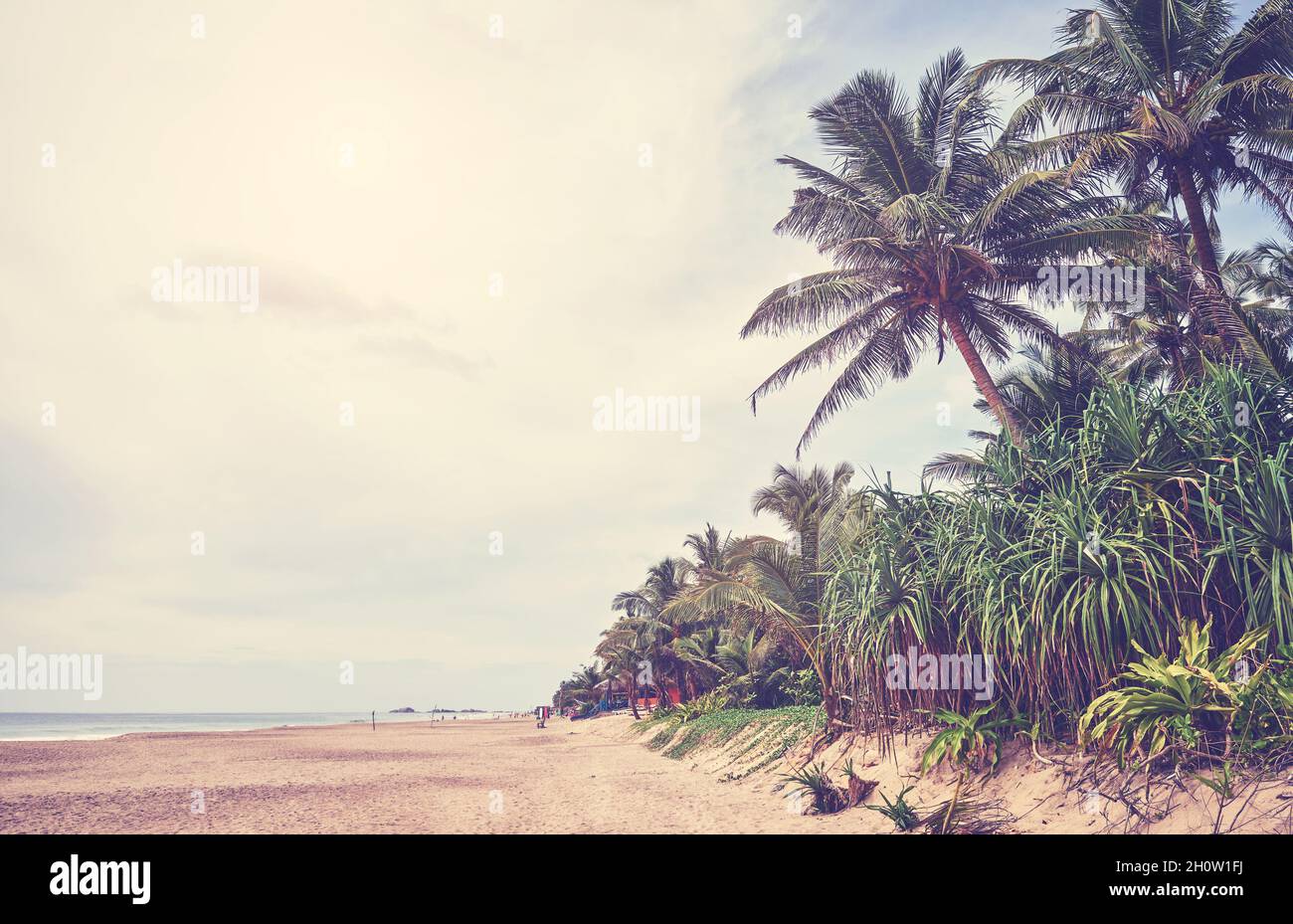Tropical beach, color toned picture, Sri Lanka Stock Photo - Alamy