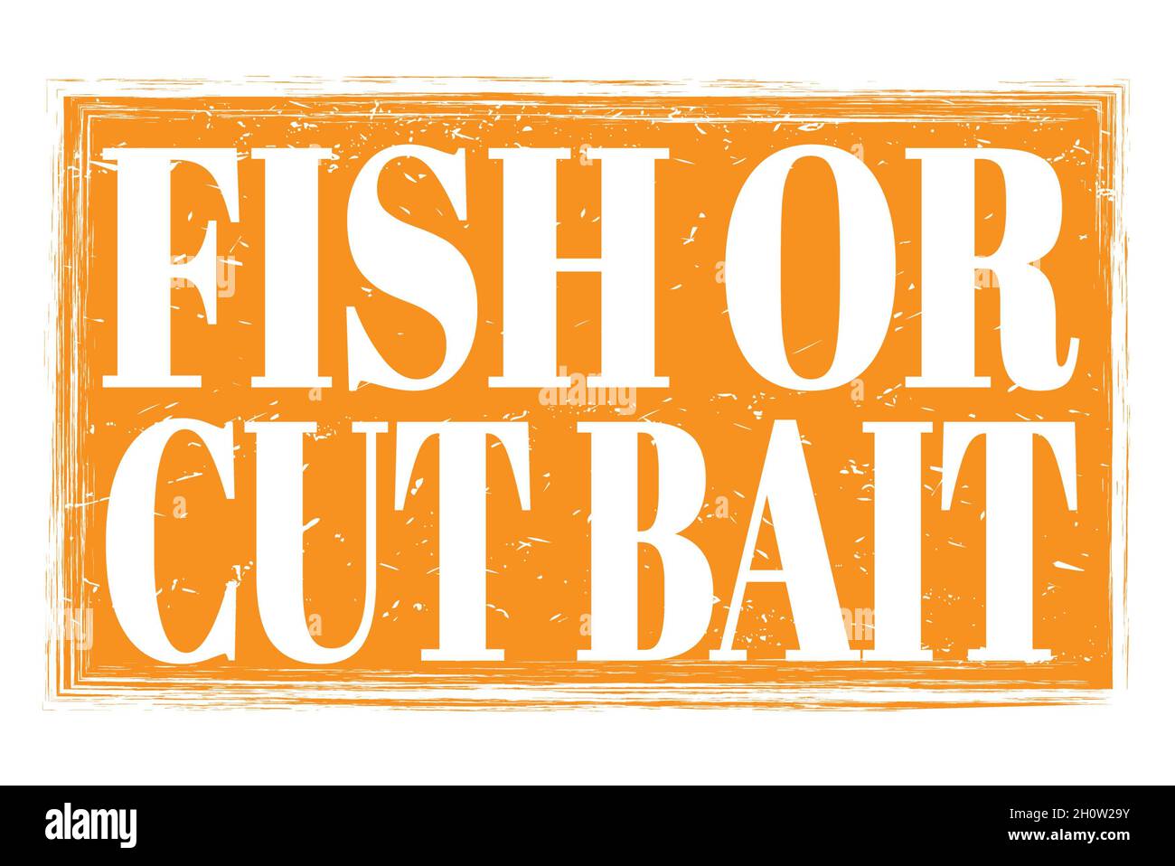 FISH OR CUT BAIT, words written on orange grungy stamp sign Stock Photo ...