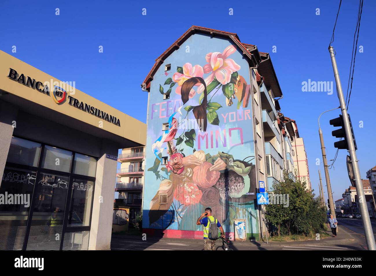 Street murals in the city of Sibiu, Transylvania, Romania Stock Photo ...