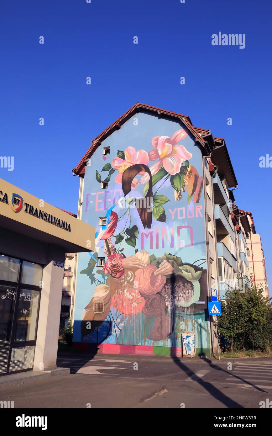 Street murals in the city of Sibiu, Transylvania, Romania Stock Photo ...