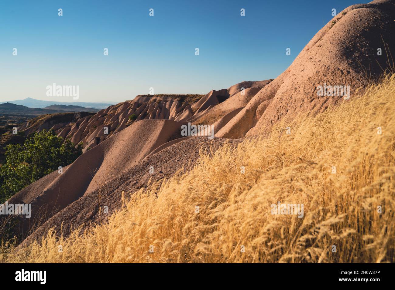 beautiful sunset landscape with typical geological soft rock formations ...