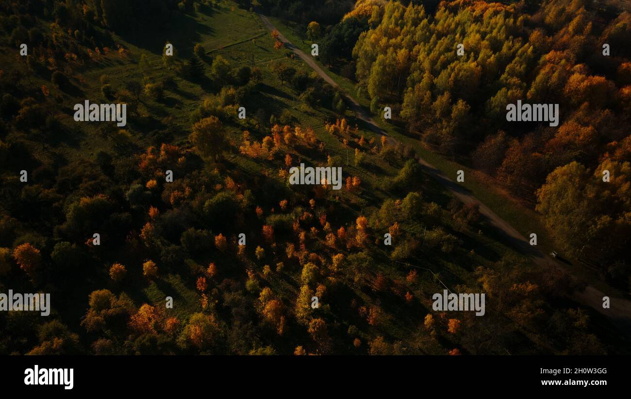Flight over the autumn park. Trees with yellow autumn leaves are ...