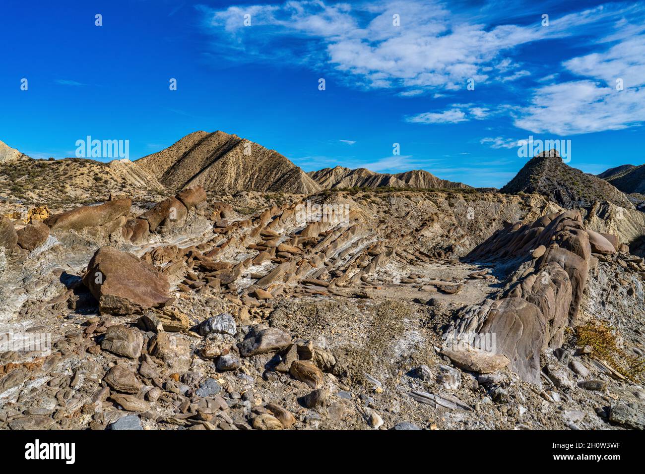 Dragon Tail, Colas de Dragon in Tabernas Desert in Almeria, Spain ...