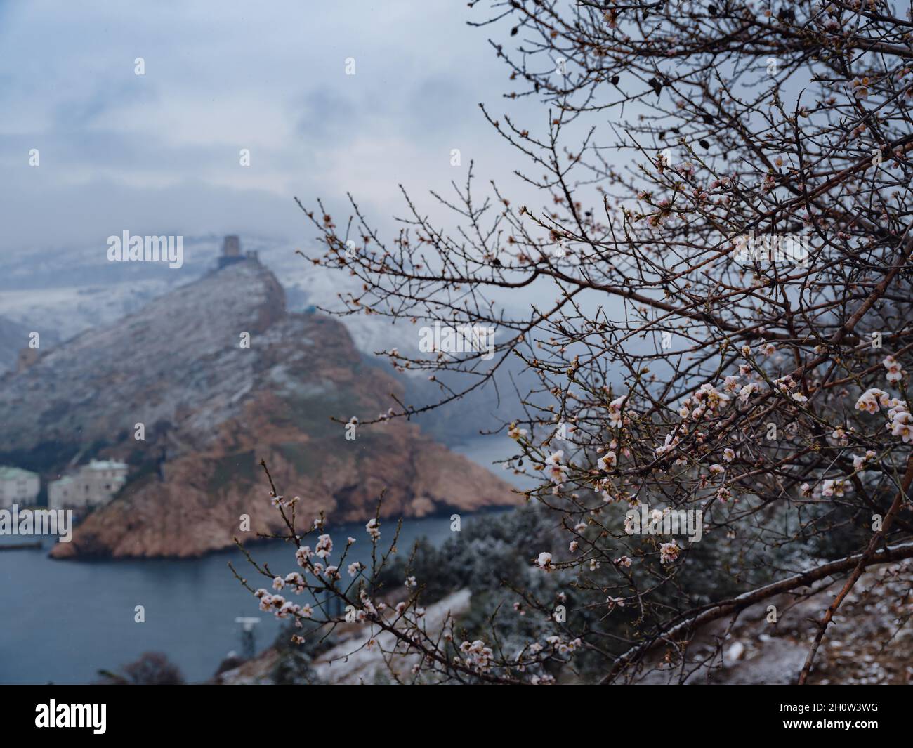 ancient castle ruins on a beautiful rock rise above the sea. winter ...