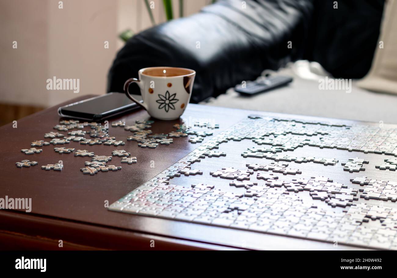 Putting jigsaw puzzle pieces together. Home alone. Quarantine in ...