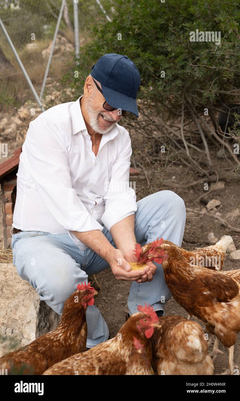 Senior man with hen in farm yard Stock Photo - Alamy