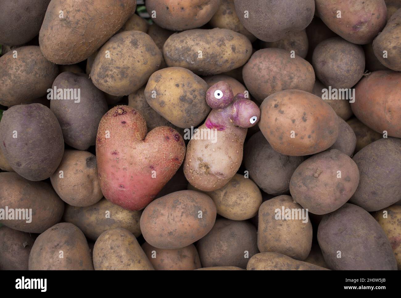 Deformed shape form hi-res stock photography and images - Alamy