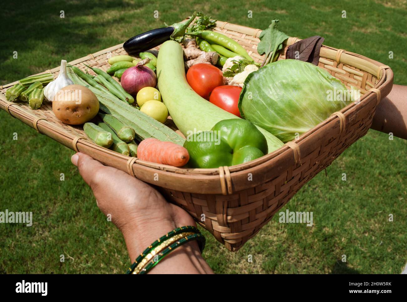 Female holding serving and Celebrating National Nutrition week observed ...