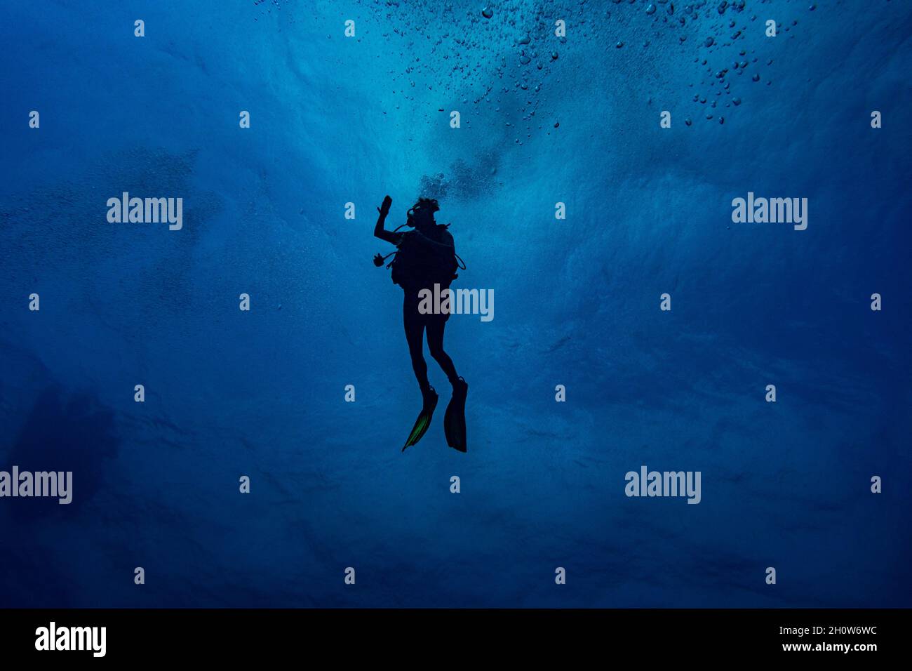 Woman scuba diver swimming in deep blue Stock Photo - Alamy