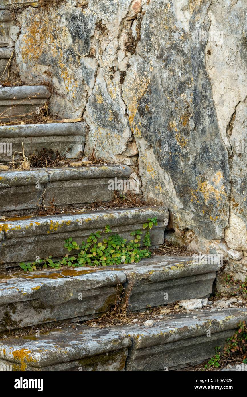 old vintage set or flight of stone steps or stairs on a derelict ...