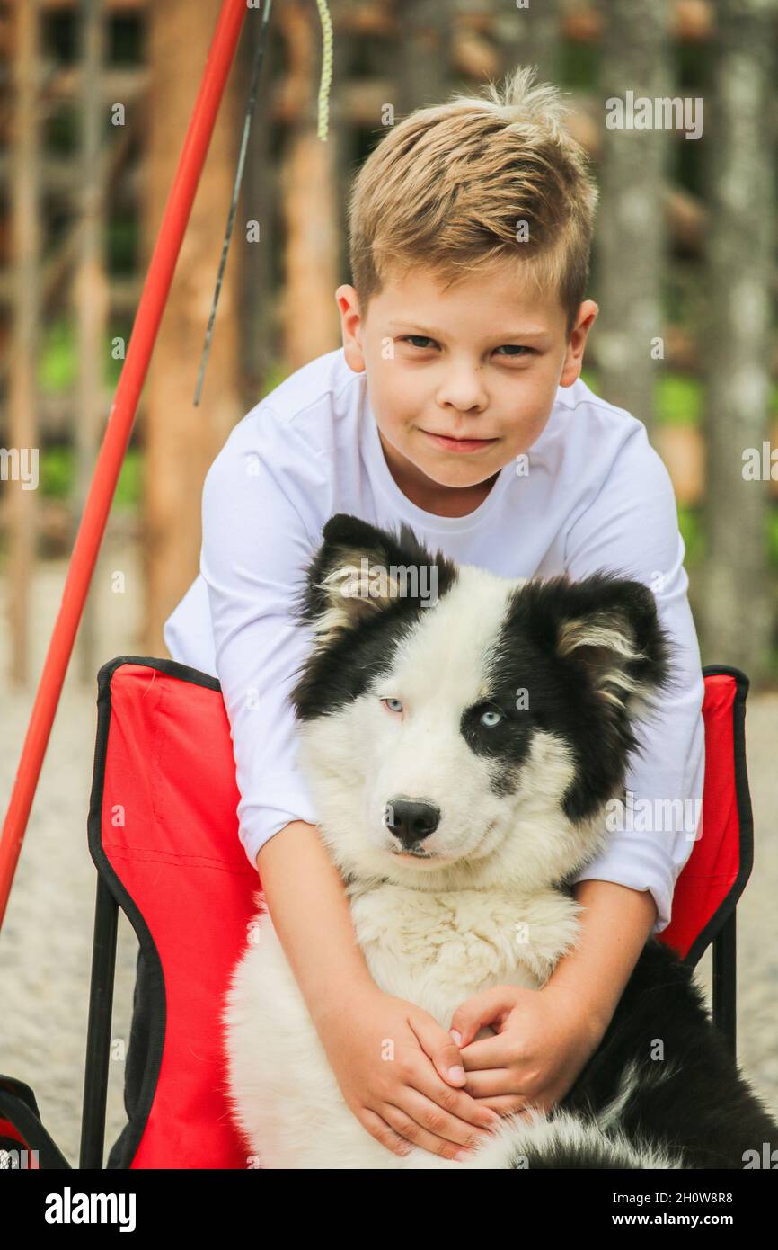 Boy in white clothes hugging a fluffy sitting Husky dog breed Stock ...