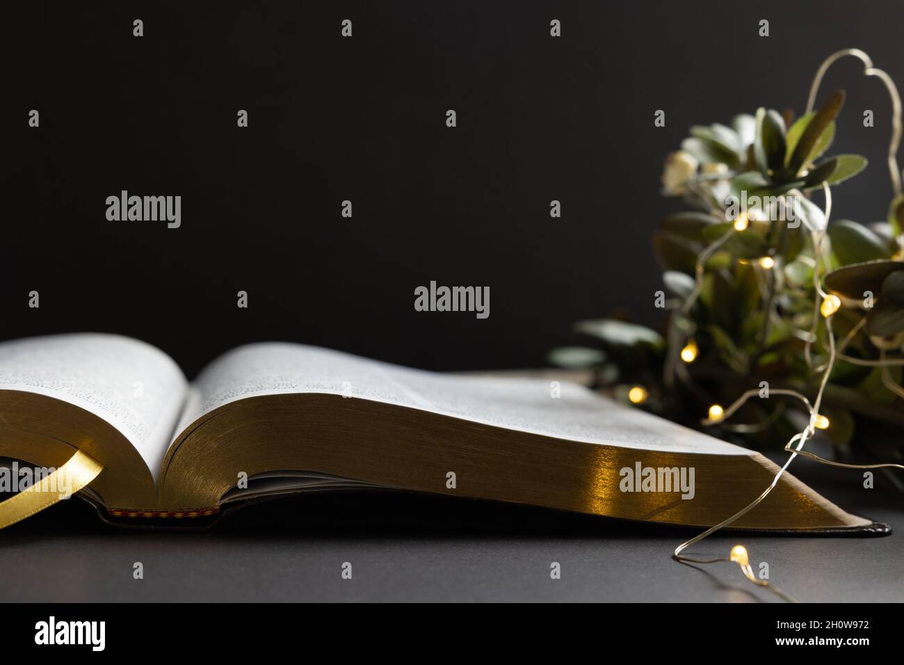 Open bible and miniature string lights with branches with green leaves ...