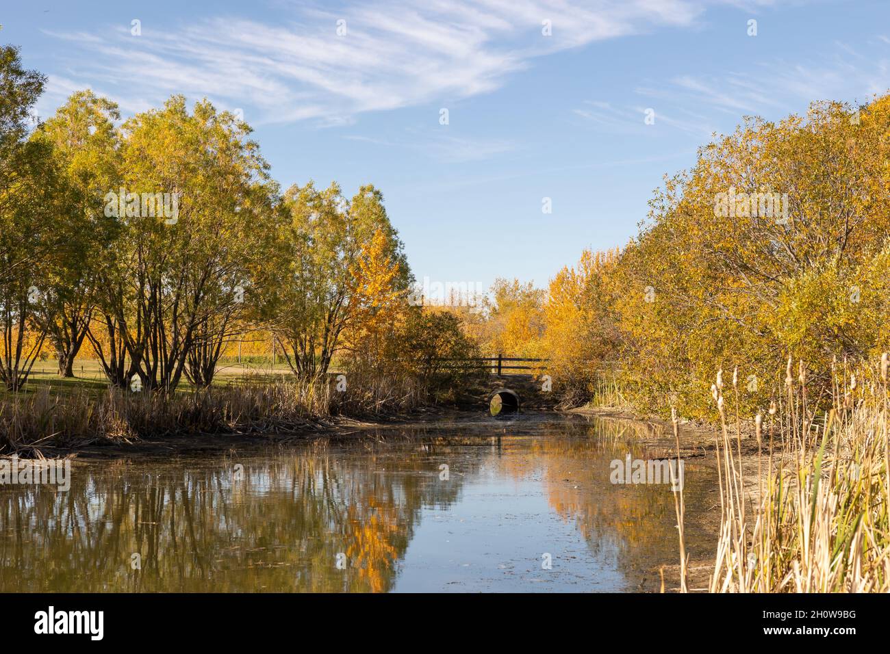 Autumn Miller Pointe