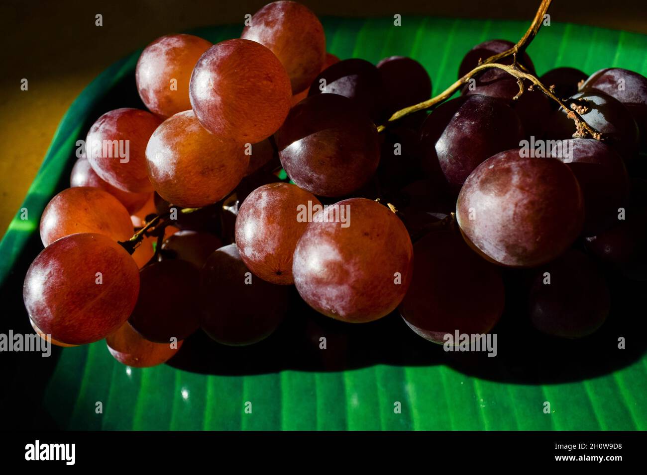 Giant sized fruits and vegetables hi-res stock photography and images ...