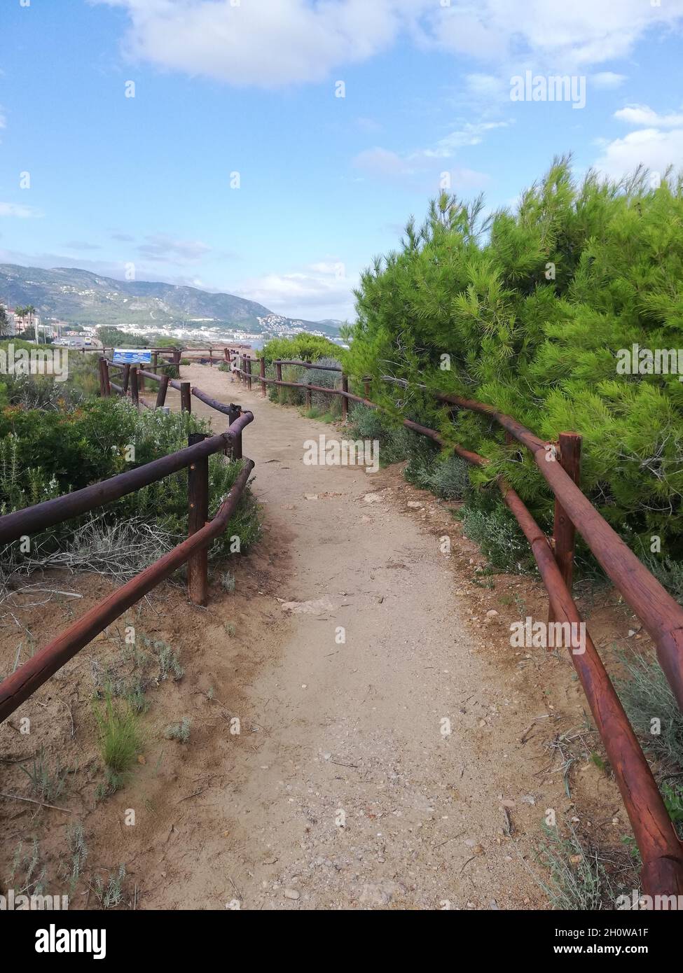 Wooden promenade near the sea with pine trees alongside and mountains ...
