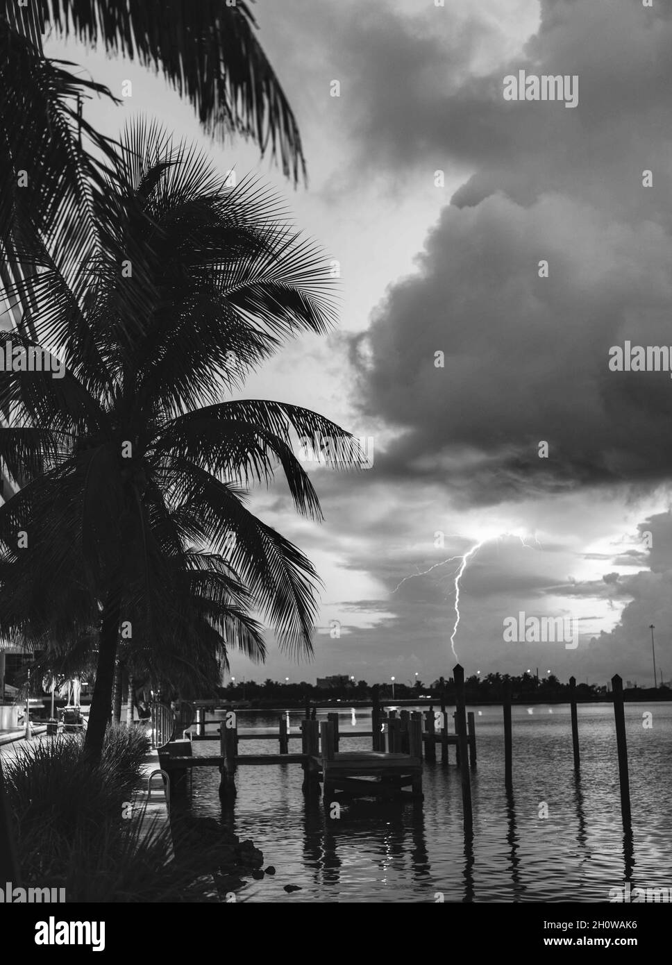 Lightning Storm Black And White