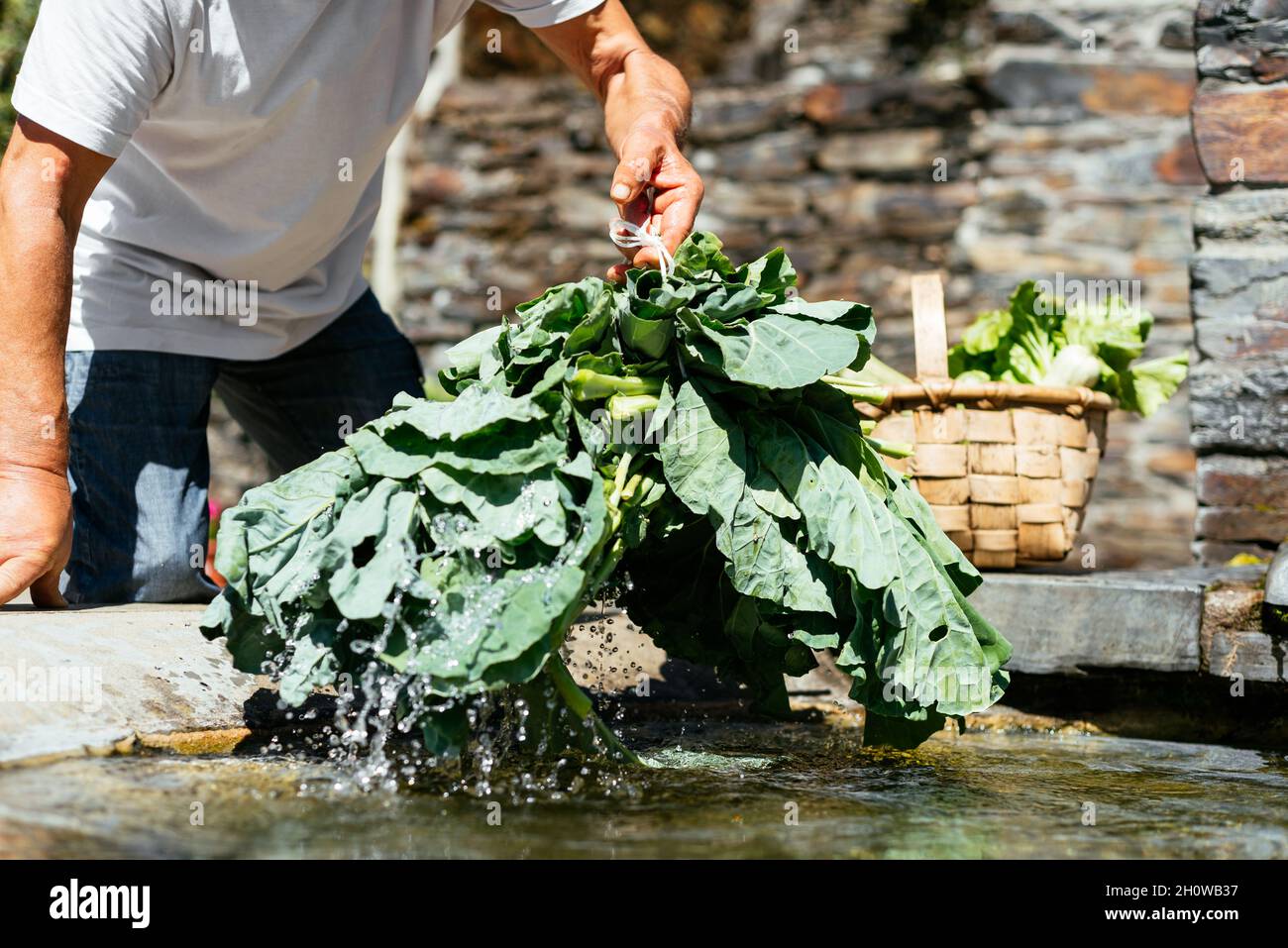 Vegetable washing basket hi-res stock photography and images - Alamy