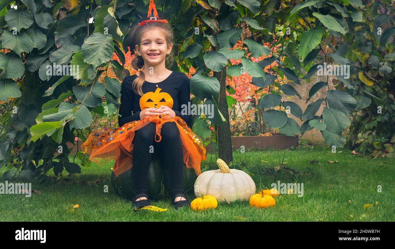 Witch elm tree hi-res stock photography and images - Alamy