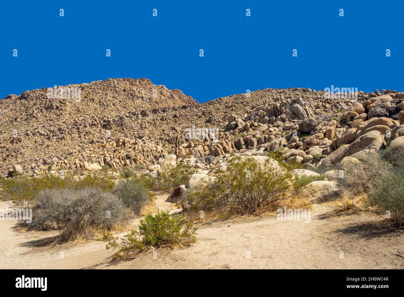 Public wilderness hi-res stock photography and images - Alamy