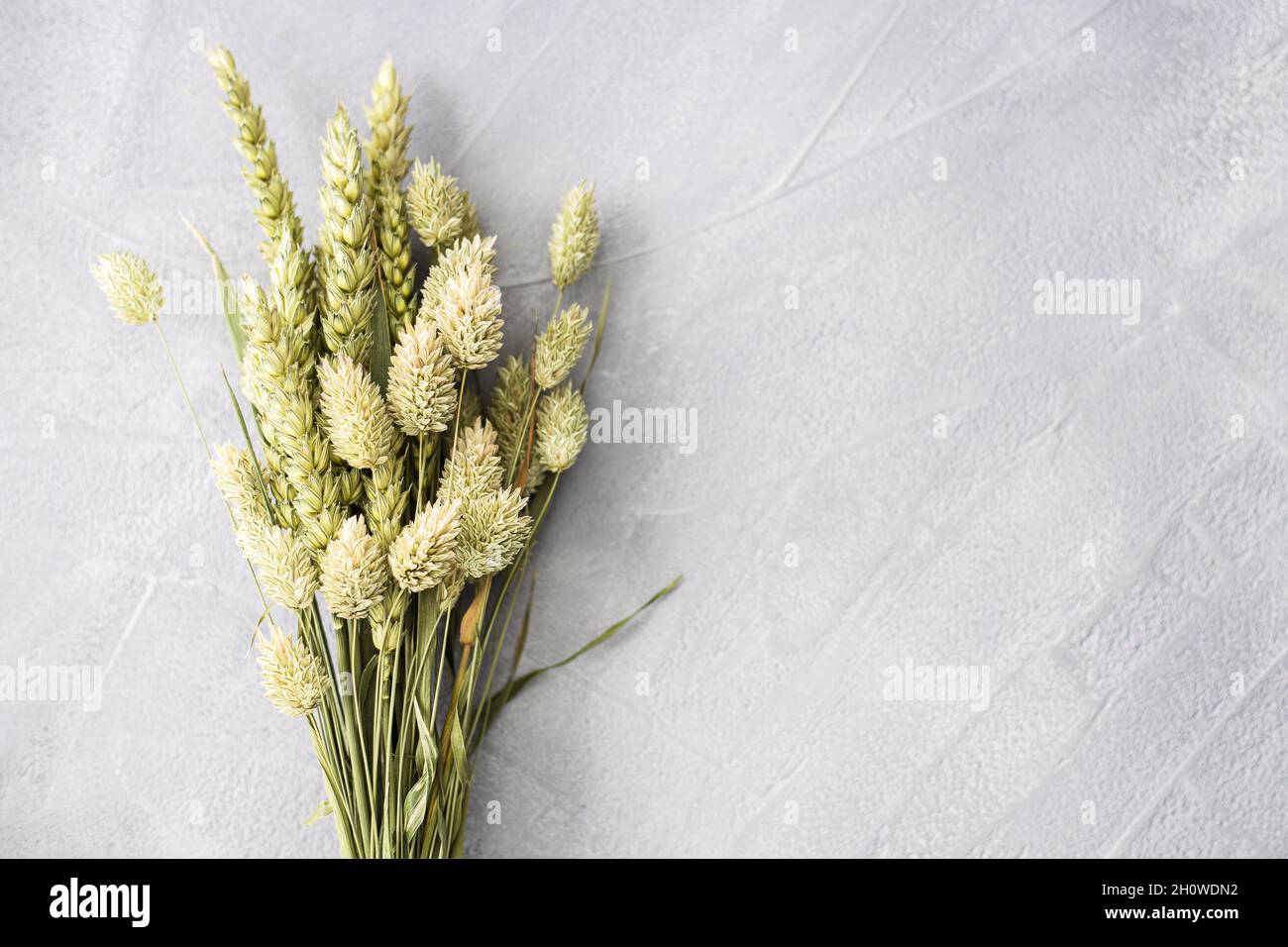 Minimalistic bouquet of beautiful green dried flowers Stock Photo - Alamy