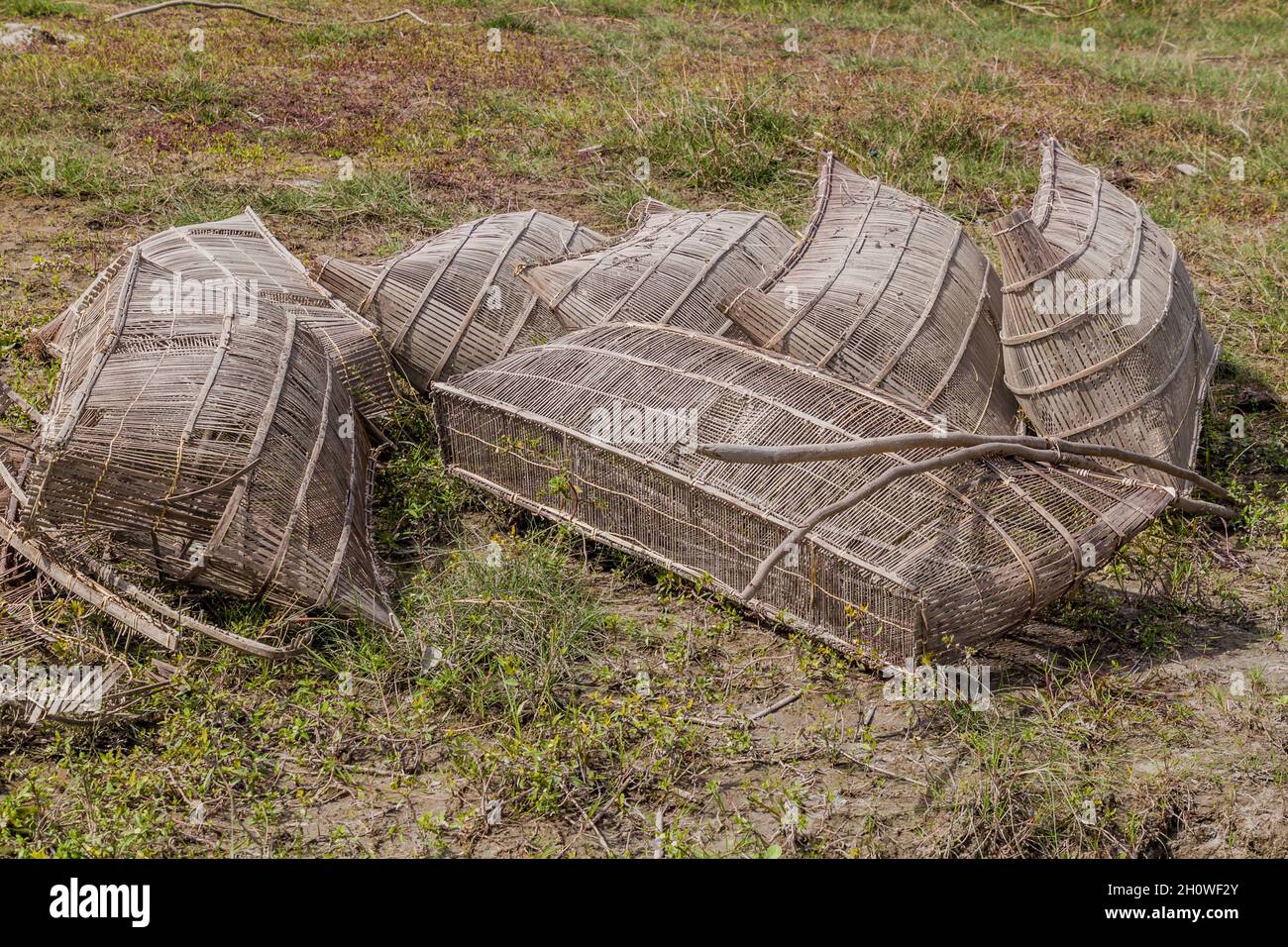 Fishing traps on a char sandbank island in Jamuna river, Bangladesh ...