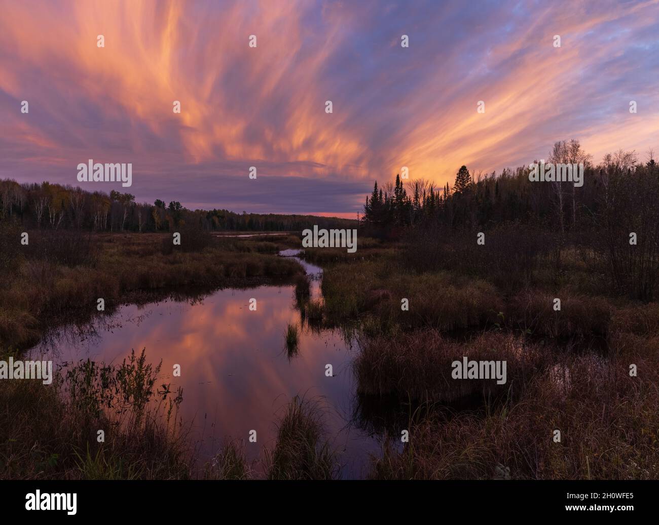 Sunset over a stream in the Chequamegon National Forest in northern ...
