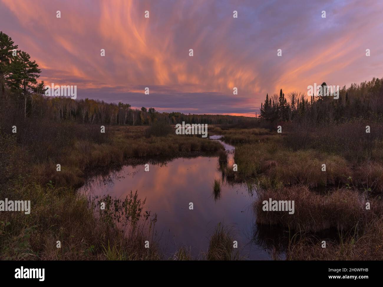Sunset over a stream in the Chequamegon National Forest in northern ...