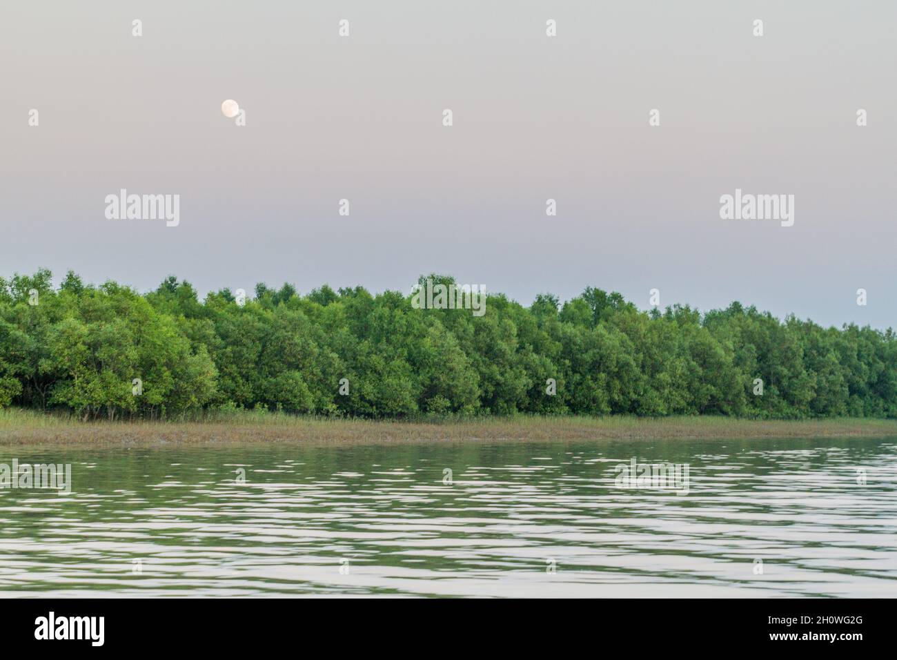 Char island hi-res stock photography and images - Alamy