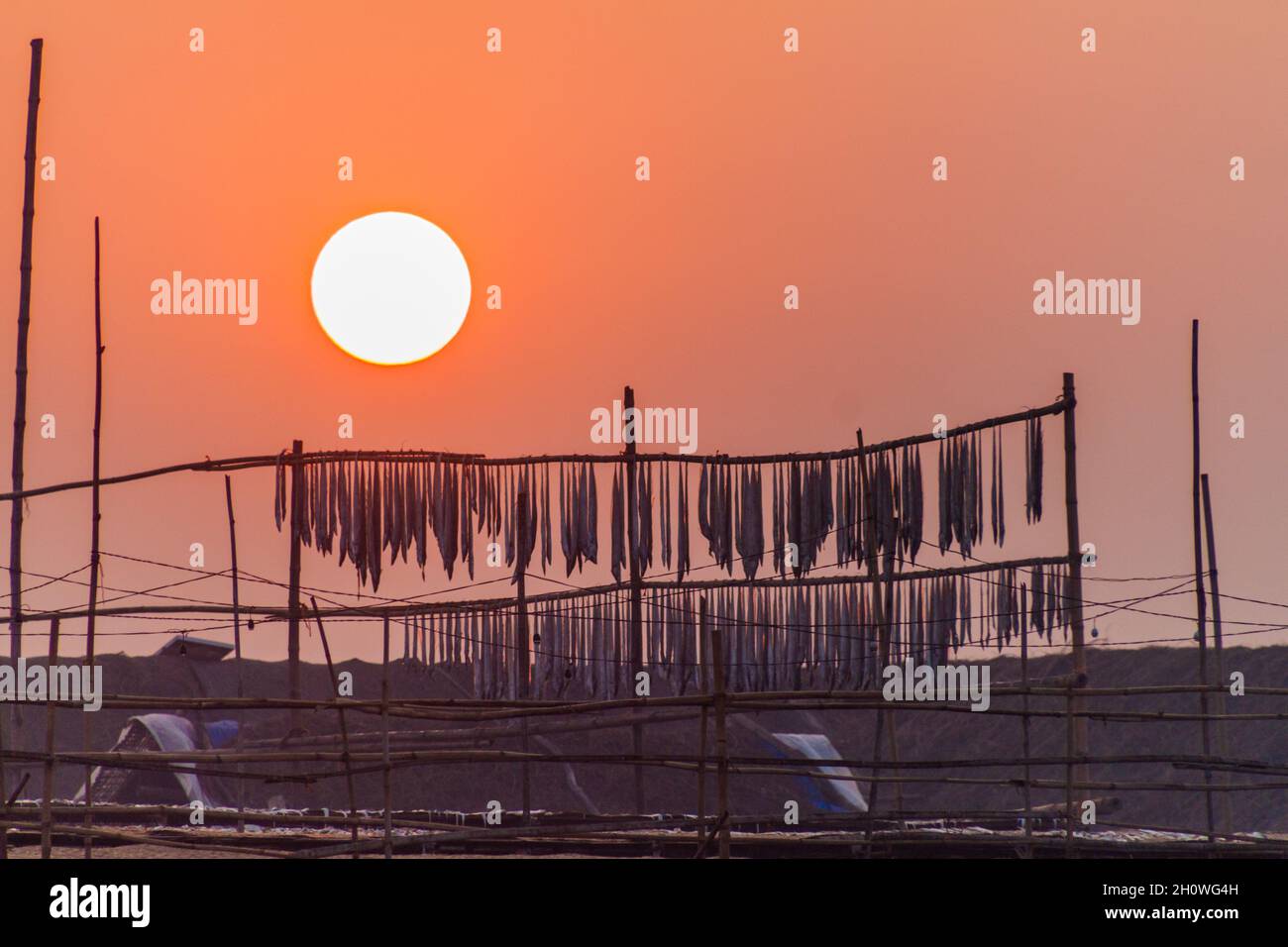 Dublar hi-res stock photography and images - Alamy