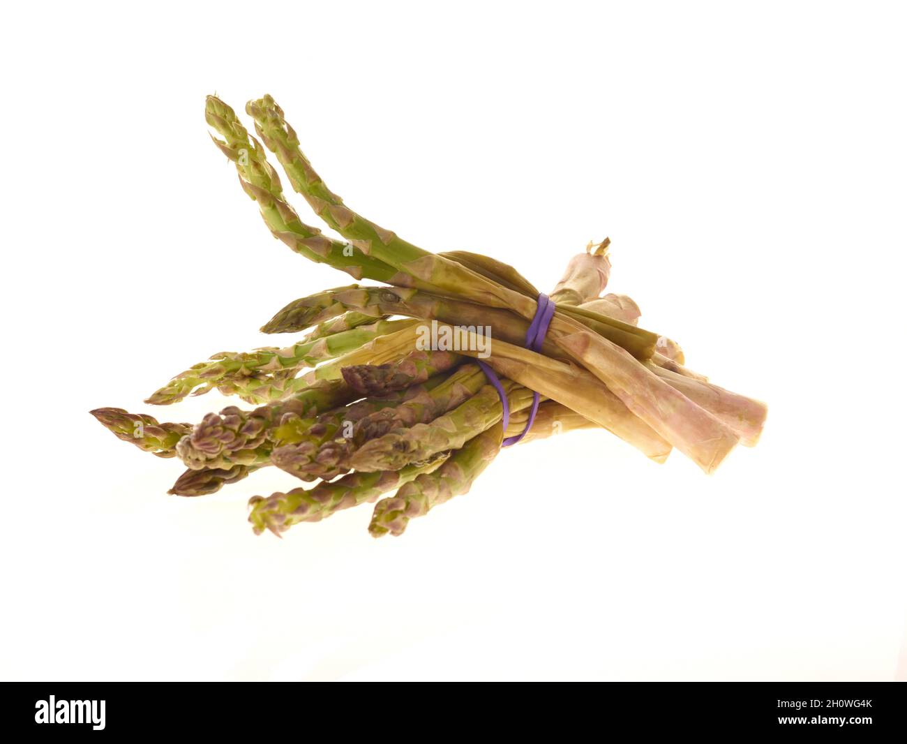 Asparagus bundle against plain background, close-up vegetable/food ...