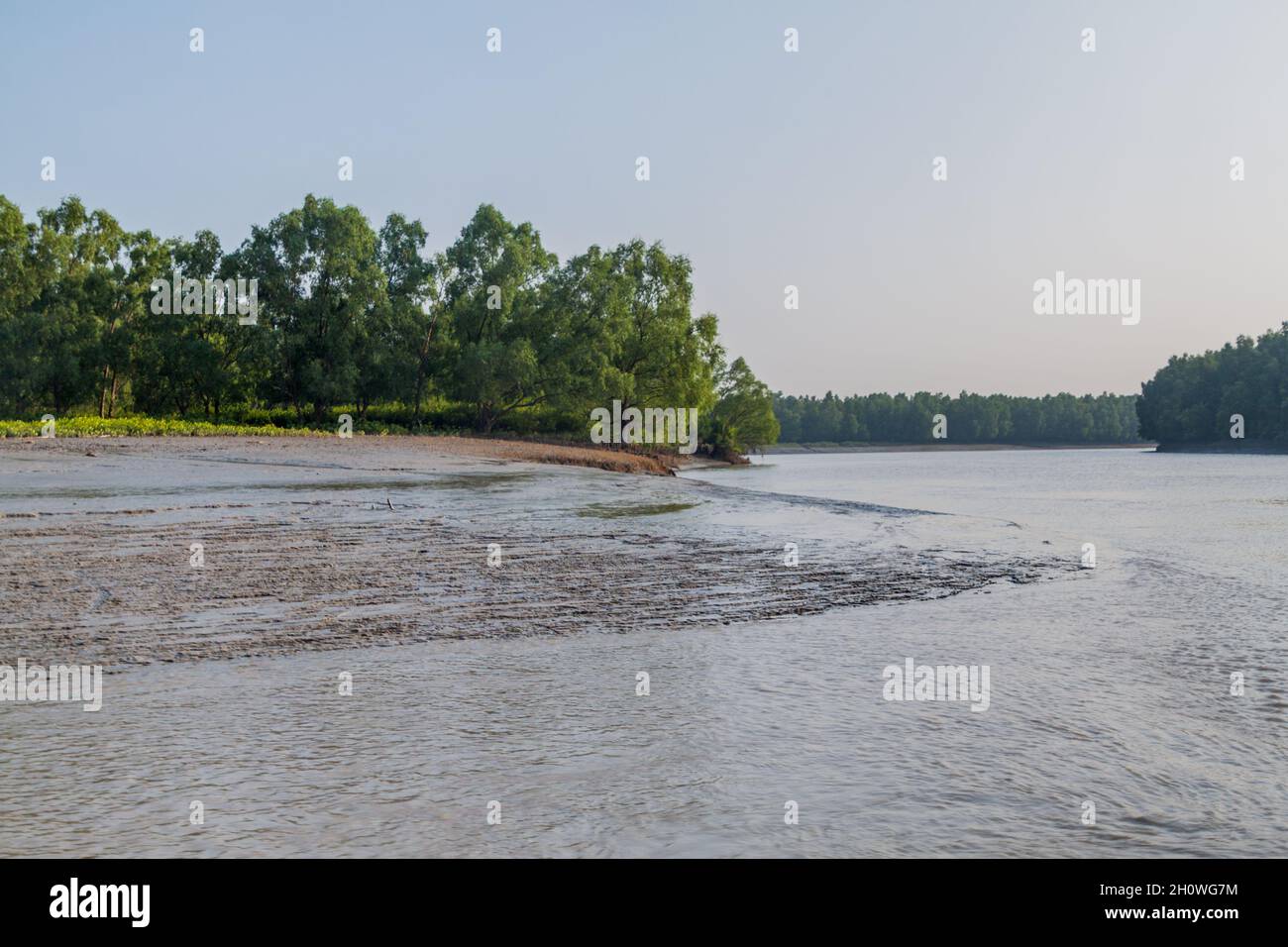 River and mangrove forest in Sundarbans, Bangladesh Stock Photo - Alamy